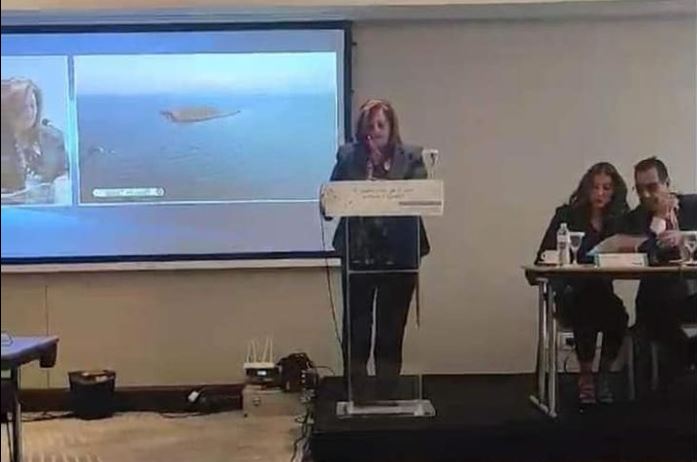 Η Δήμαρχος Φολεγάνδρου κ.Παπαδοπούλου Ευθαλία παρουσίασε στην ΠΕΔ τα ...