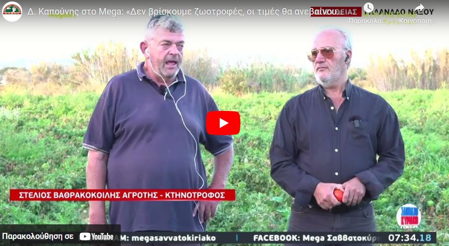 Δ. Καπούνης στο Mega: «Δεν βρίσκουμε ζωοτροφές, οι τιμές θα ανεβαίνουν ...