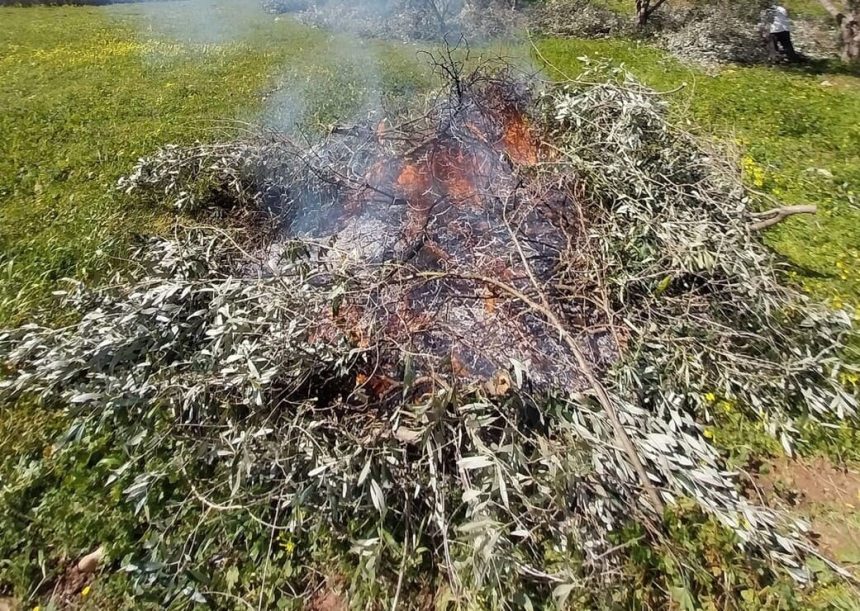 ΑΠΑΓΟΡΕΥΣΗ ΚΑΥΣΗΣ ΣΤΟ ΝΟΤΙΟ ΑΙΓΑΙΟ ΑΠΟ 11 ΕΩΣ 18 ΜΑΡΤΙΟΥ 2025 ...
